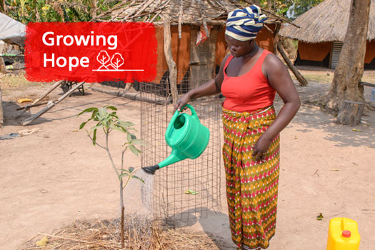 Uganda: Our Work | Malteser International