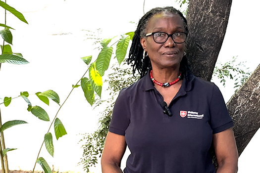 Unrest in Haiti: "Our Work is Becoming More Challenging, but We Remain ...